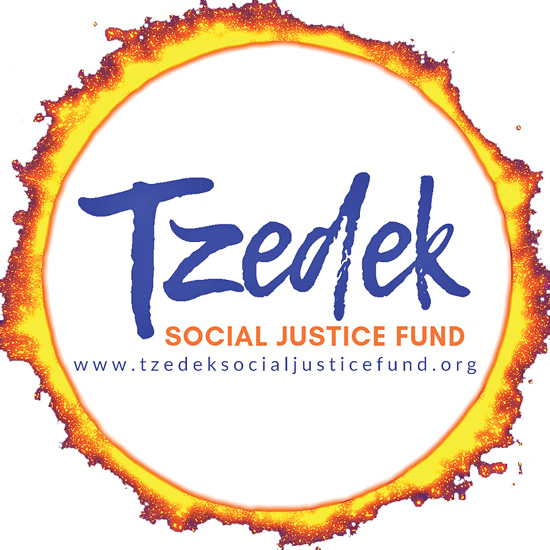 Tzedek Brilliance Awards Celebrate the Impact of Asheville Changemakers ...